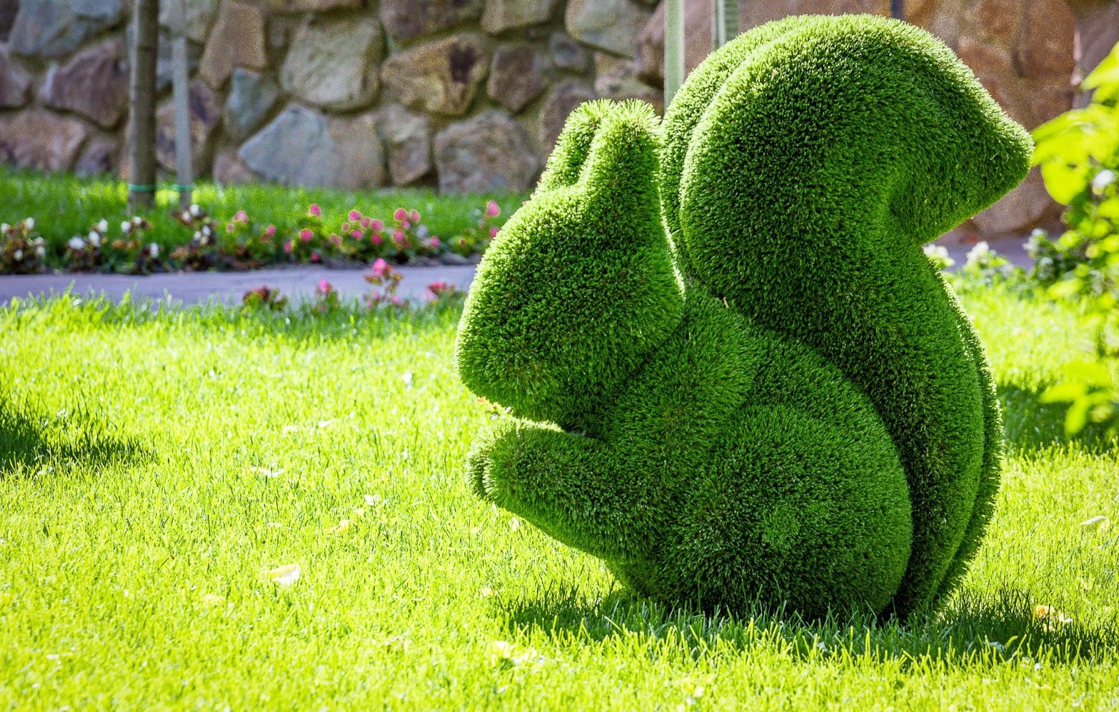 The Ultimate Guide to Topiary - Sutton Manor Nursery