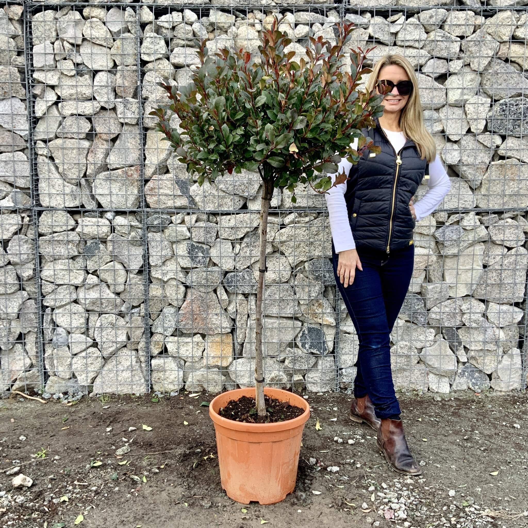 Home - Sutton Manor Nursery