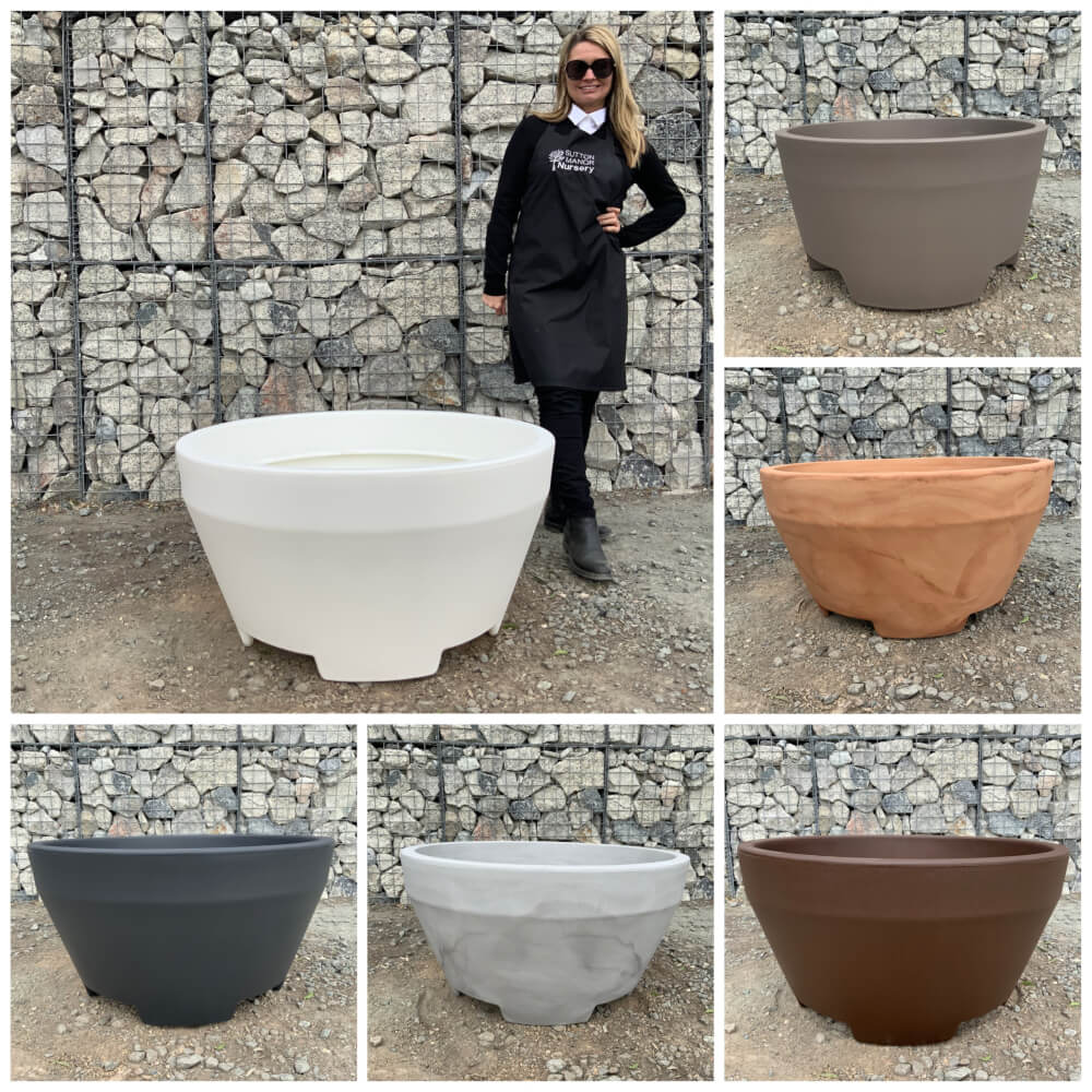 The Capri 90 Pots (All Colours) Archives - Sutton Manor Nursery