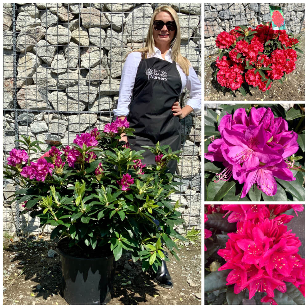 Home - Sutton Manor Nursery