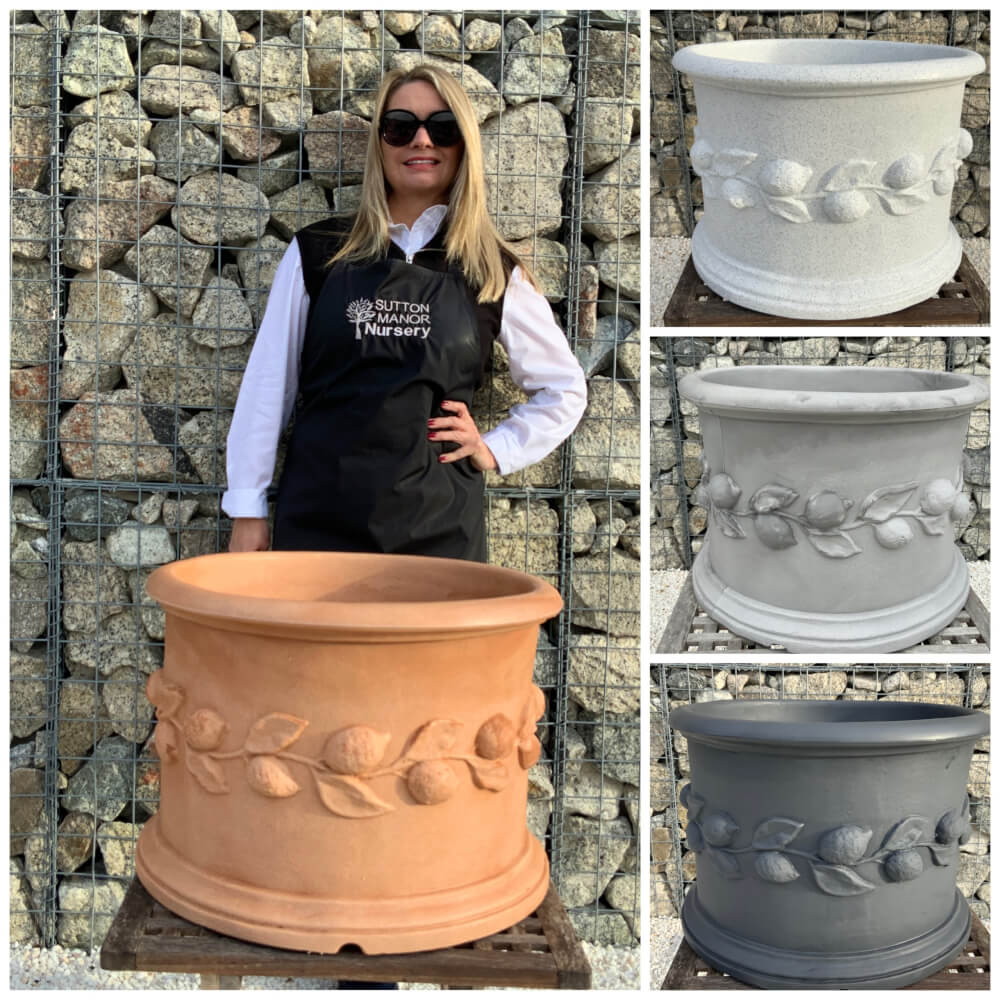 Handcrafted Tuscany Fruit Pots | Authentic Italian Planters
