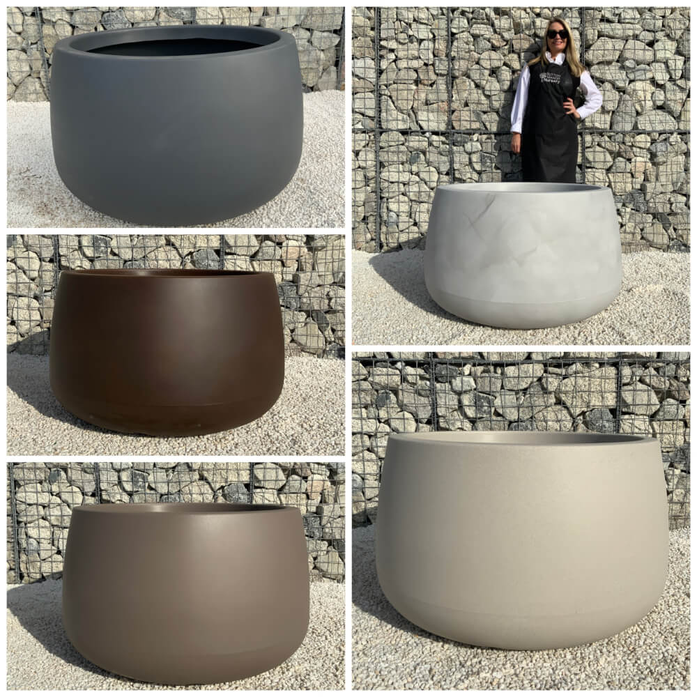 The Barolo Pot 95 (All Colours) Archives - Sutton Manor Nursery