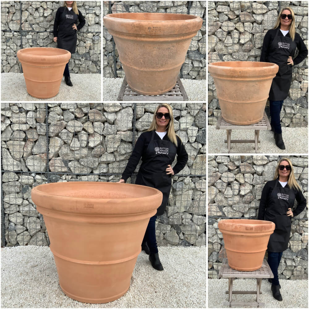 Rolled Rim Classico Terracotta Pots | Sutton Manor Nursery